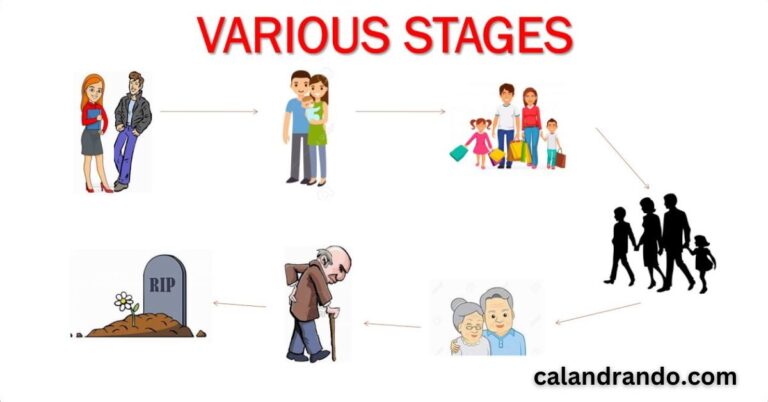 Understanding the Different Stages of Life: A Comprehensive Guide